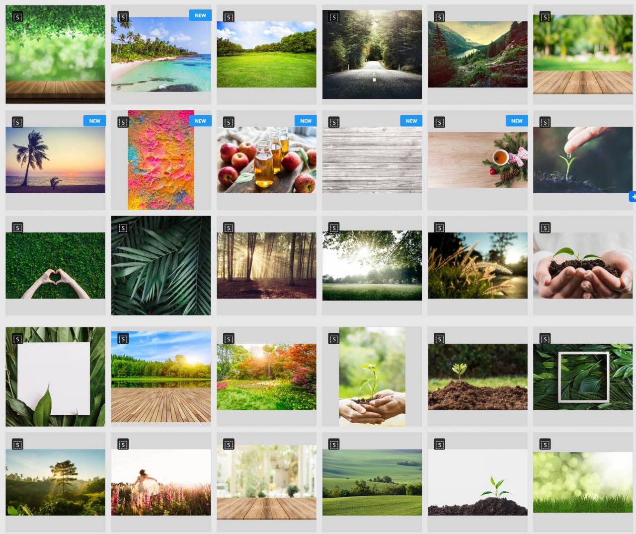 10 banques d'images libres de droits et gratuites – Dear Sunflower ...
