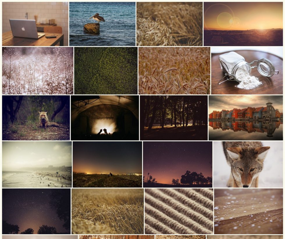 10 banques d'images libres de droits et gratuites – Dear Sunflower ...
